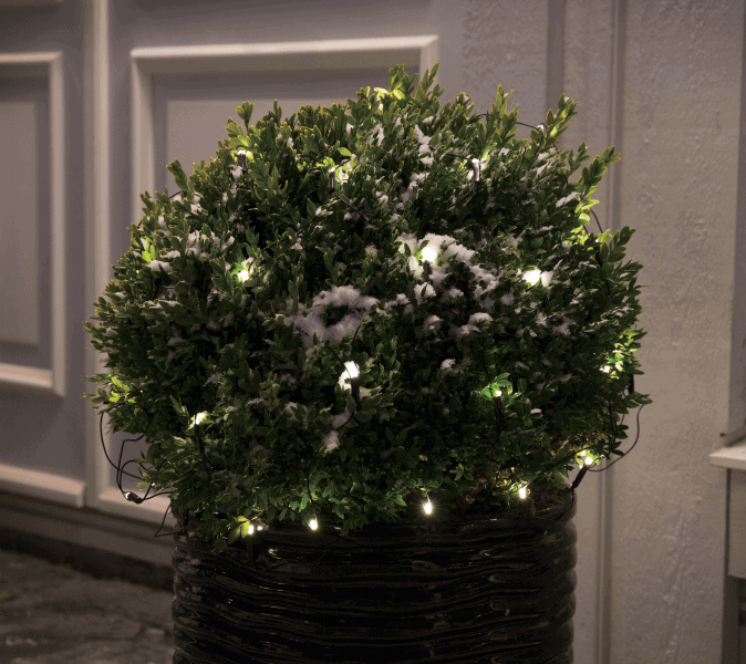 Julebelysning - Gode idéer til indendørs og udendørs julelys